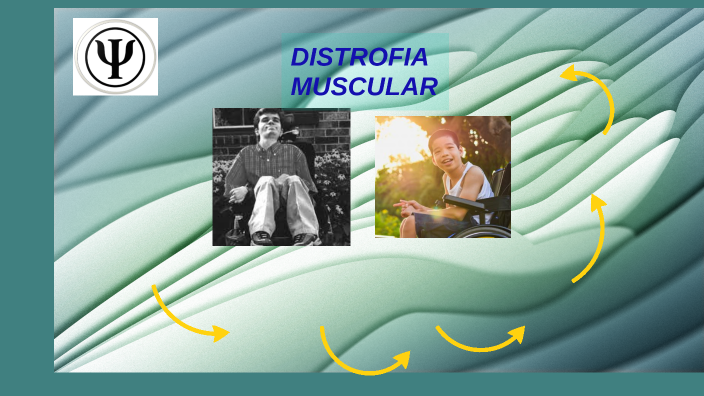distrofia muscular by ronald enriquez huanca on Prezi