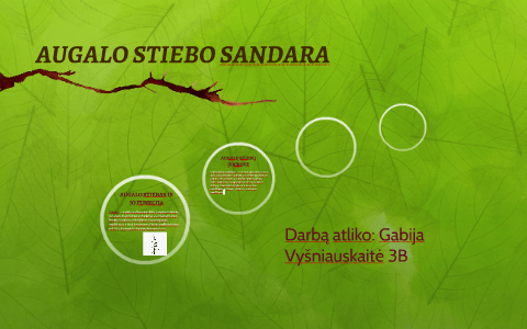 AUGALO STIEBO SANDARA by Gabija Vysniauskaite on Prezi