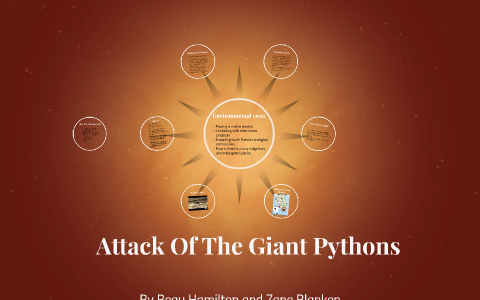 Burmese Pythons In the Everglades by Zane Blanken on Prezi