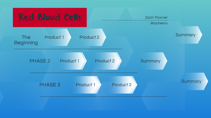 Red Blood Cell Project by Zachary Thorner on Prezi