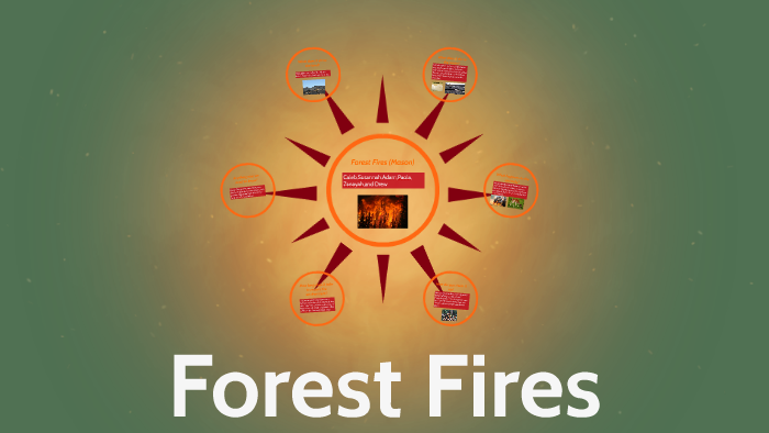 Forest Fires by Hannah Purtle