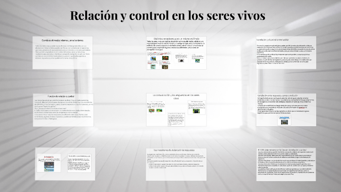 Relación y control en los seres vivos by Agustina Erschen on Prezi