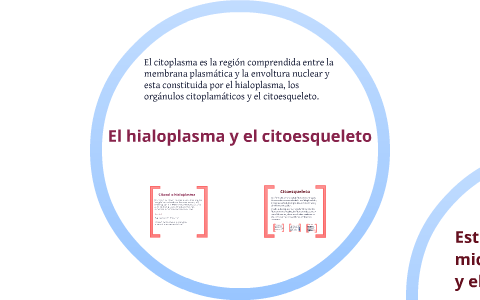 el hialoplasma y el citoesqueleto by clara gonzalez