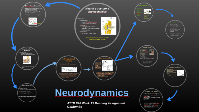Neurodynamics by Brian Coulombe on Prezi
