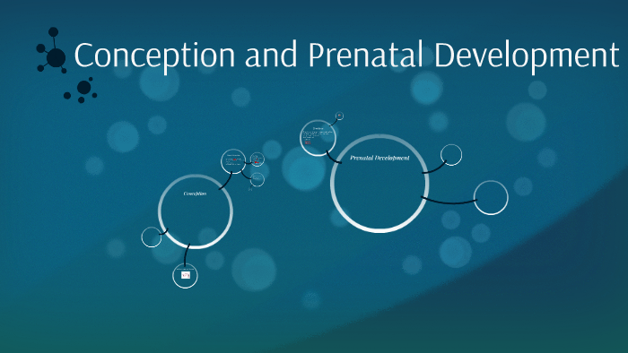 Conception and Prenatal Development by Laura Newland on Prezi