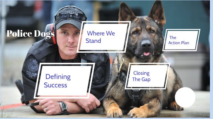 K-9 presentation by Ellie Noll on Prezi