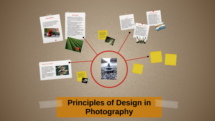 Principles of Design in Photography by Cara Young on Prezi