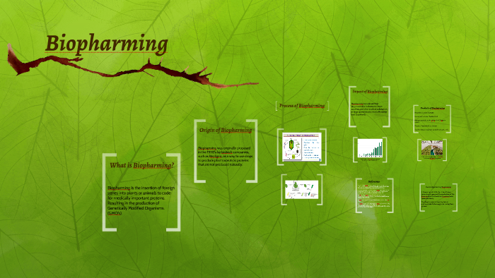 Biopharming by Michael Rahaman on Prezi