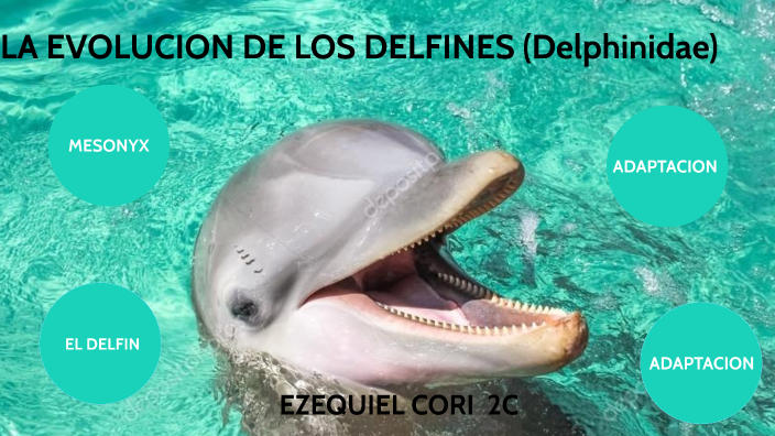evolucion de delfines by ezequiel cori on Prezi