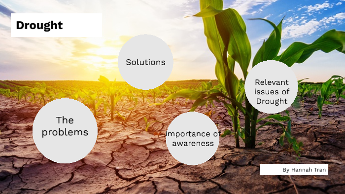 Drought Project by Hannah Tran on Prezi