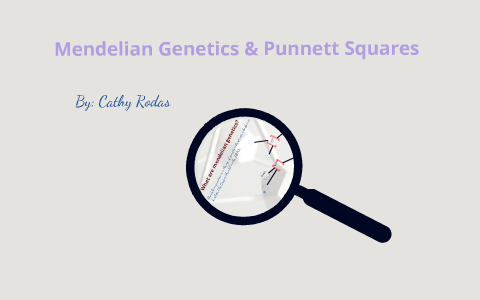 Mendelian genetics and punnett squares by catherine r on Prezi