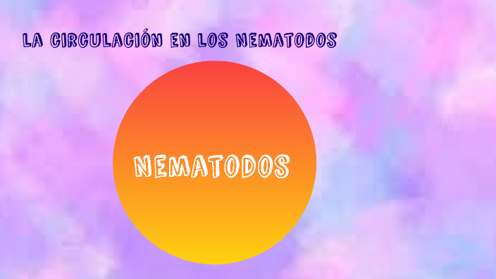 la circulación en los Nemátodos by Daniela Sofia Bejarano Talero on Prezi