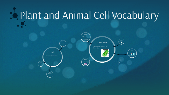 Plant and Animal Cell Vocabulary by David Gonzalez on Prezi