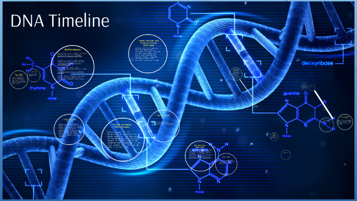 DNA Timeline by Olivia MacIntyre on Prezi