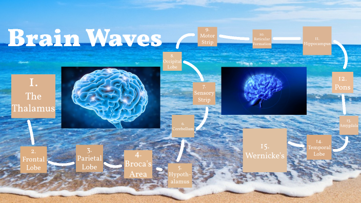 Brian Waves by Quinn Day on Prezi