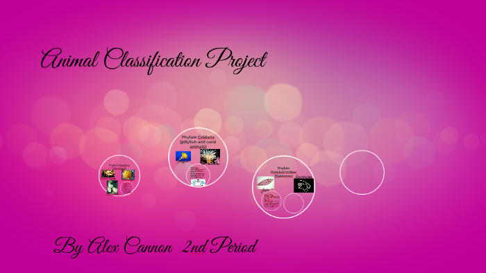Animal Classification Project by Alex Cannon on Prezi