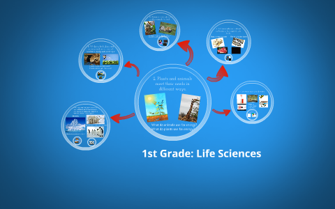 1st Grade: Life Sciences by Tara Meyer on Prezi