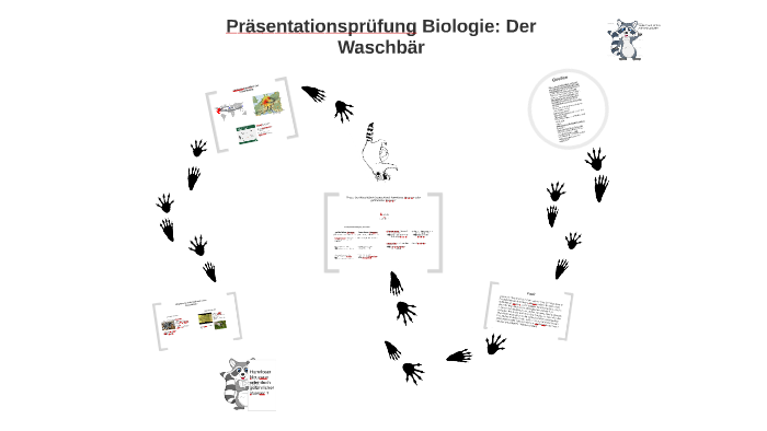 Verbreitungsgebiet des Waschbären by Chiara Homann on Prezi