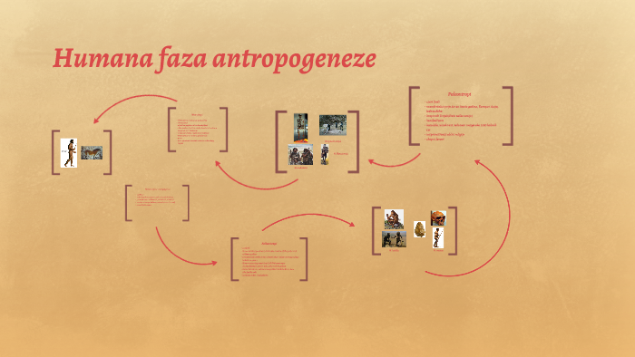 Humana faza antropogeneze by Sven Hrbenić on Prezi