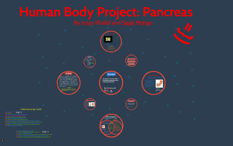 Human Body Project: Pancreas by Sejal/Sonal Mohan on Prezi