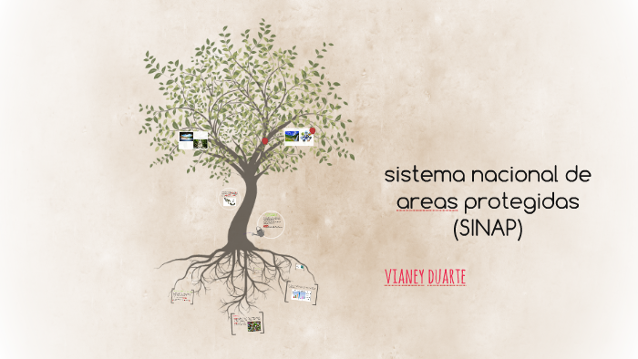 sistema nacional de areas protegidas (SINAP) by vianey duarte on Prezi