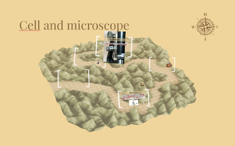 Cell and microscope by Elyssa Mitchell on Prezi