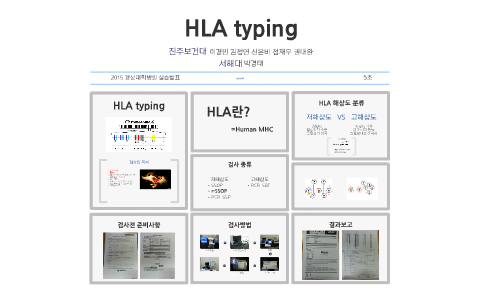 HLA typing by 정연 김 on Prezi