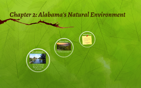 Chapter 2: Alabama's Natural Environment by Catherine Bastin on Prezi