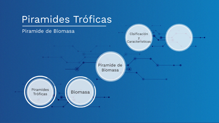 Piramide de Biomasa by Angello Mendez Estudillo on Prezi