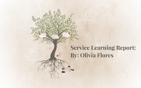 Service Learning Report: by Olivia Flores on Prezi