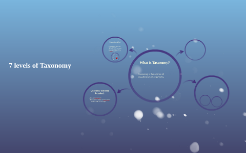 7 levels of Taxonomy by Eric Lodes on Prezi