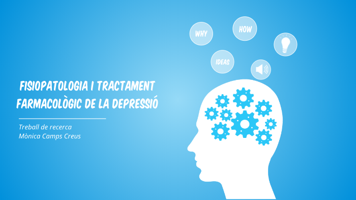 Presentació oral TDR by Mònica Camps on Prezi