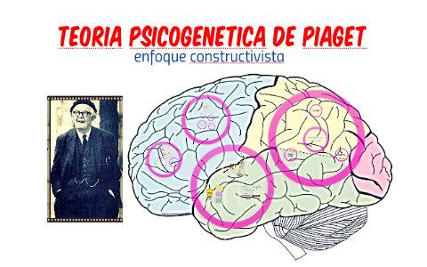teoria constructivista de piaget by carlos antonio on Prezi