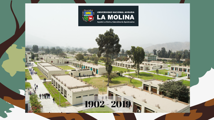 UNALM 2019 by Mavi Puente on Prezi