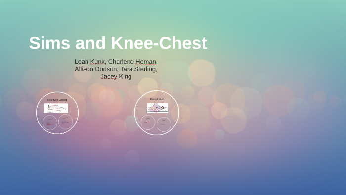 Sims (Left Lateral) by Jacey King on Prezi