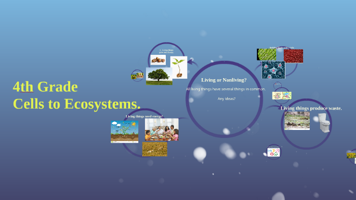 4th Grade Cells to Ecosystems by Fred Roberts on Prezi