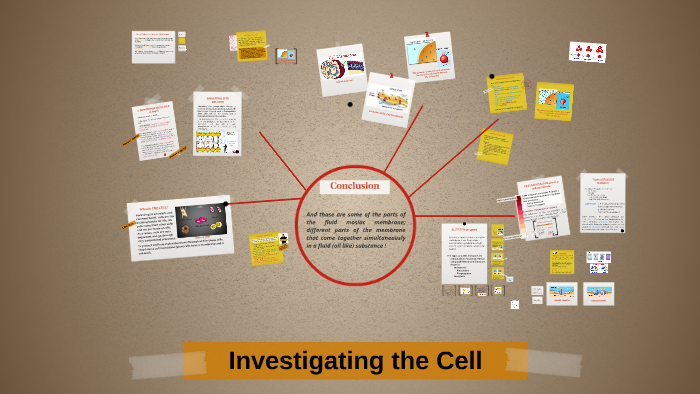 Investigating the Cell by Kaela Albert on Prezi