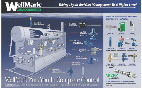 WellMark by Codie Bussard on Prezi