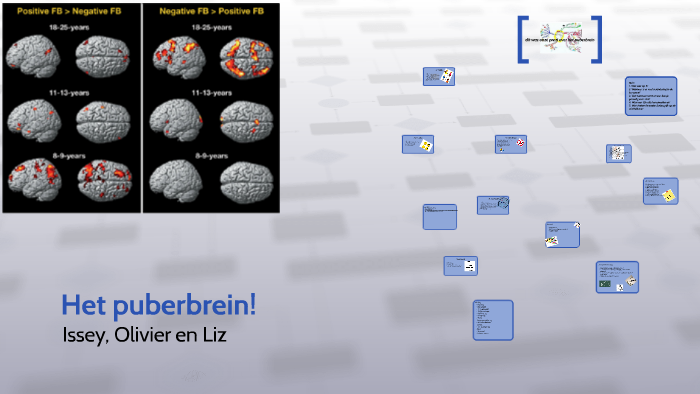 Het puberbrein! by Liz Heer on Prezi