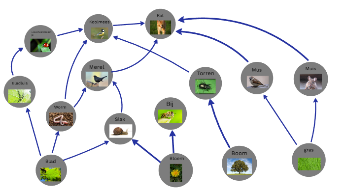 voedselweb by J k on Prezi