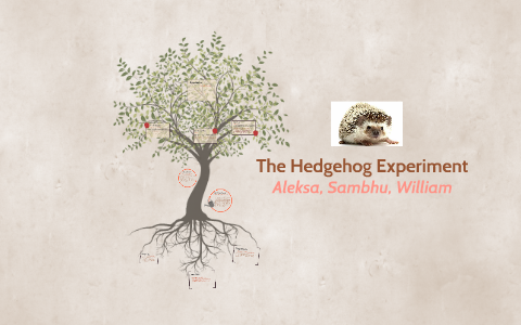 The Hedgehog Experiment by Aleksa Banki on Prezi