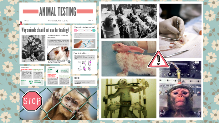 ANIMAL TESTING by My Le on Prezi