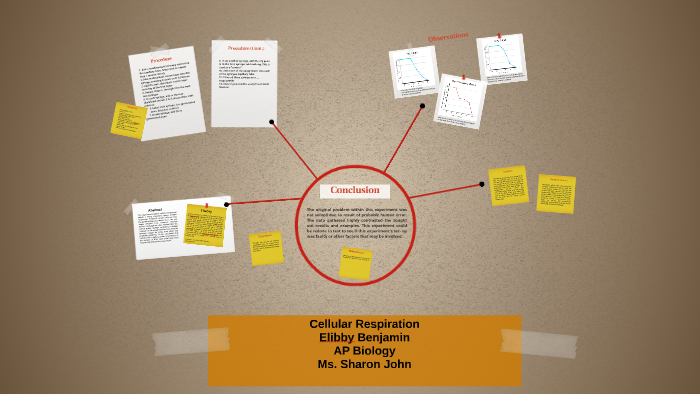 Pea Lab Report by Elibby Benjamin on Prezi