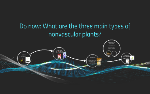 Vascular And Nonvascular Plants Worksheets 5th Grade
