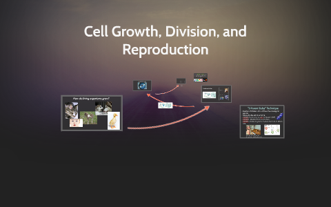 Cell Growth, Division, and Reproduction by Nancy M. Lopez on Prezi
