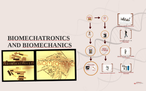 BIOMECHATRONICS AND BIOMECHANICS by SANDRA FERNANDEZ TELLEZ on Prezi