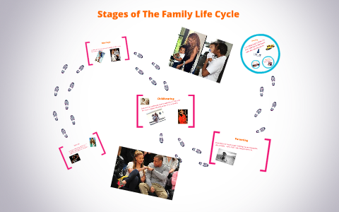 Stages of The Family Life Cycle by shalonda walker on Prezi