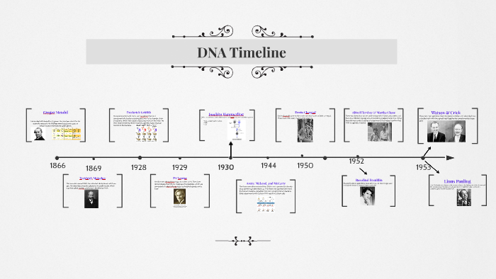 DNA timeline by Kendra Meloche on Prezi