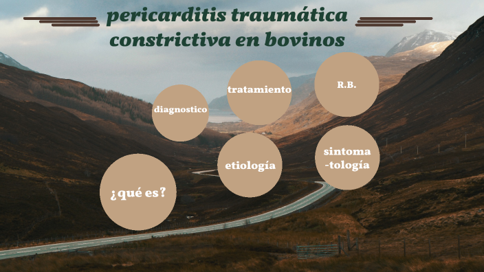 pericarditis traumática constrictiva by Andres Camayo on Prezi