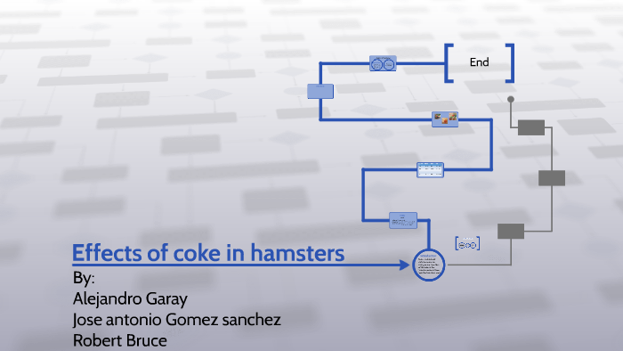 Effects of coke in hamsters by Alejandro Sebastian Garay Limas on Prezi